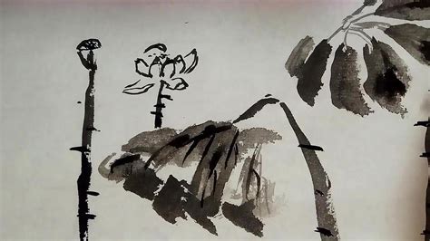 国画莲花怎么画