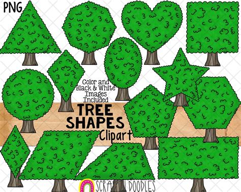 Tree Shapes ClipArt Commercial Use 2D Shape Clip Art Earth Day Shape Graphics Hand Drawn