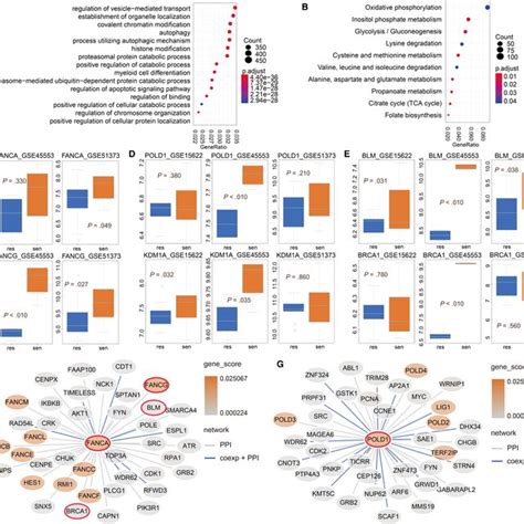 Functional Analysis And Verification Of Six Candidate Genes A
