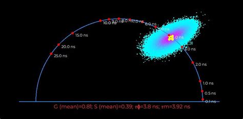 flim labs on linkedin fla