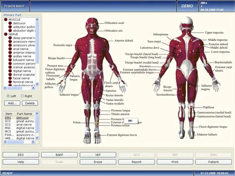 Emgep System Pc Electromyography System Evoked Electromyography
