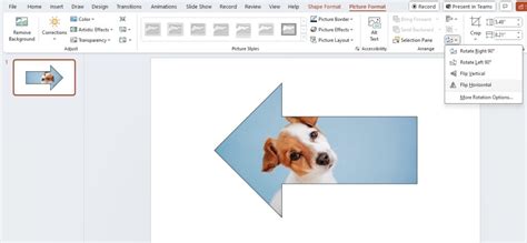The Ultimate Guide To Rotate And Flip Powerpoint Images Myexcelonline