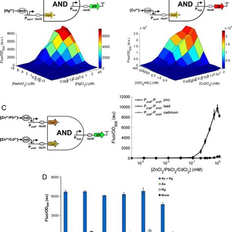 Architecture Of A Synthetic Modular Cell Based Biosensor The Cellular Download Scientific