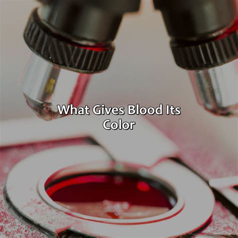 What Is The Color For Prostate Cancer