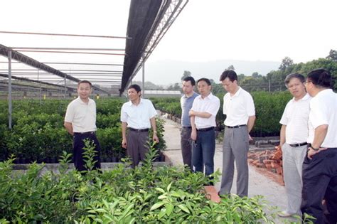 国家柑桔苗木脱毒中心图册 360百科