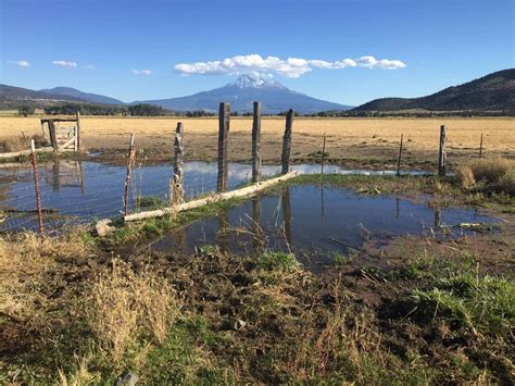 Sutter Mutual Water Company Modernization Support Davids Engineering