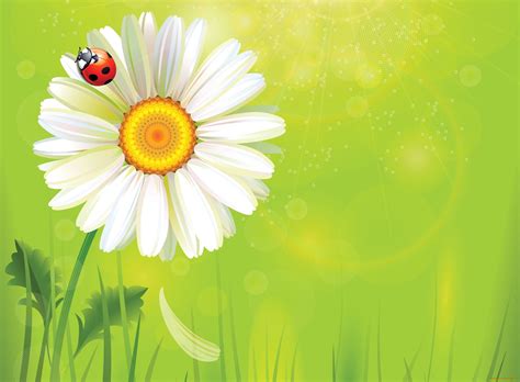 Обои Векторная графика Цветы Flowers обои для рабочего стола фотографии векторная графика