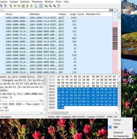 What Are Configuration Profiles In Wireshark GeeksforGeeks