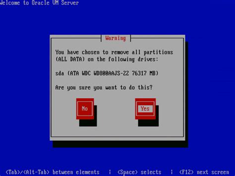 22 Installing Oracle Vm Server From A Cd