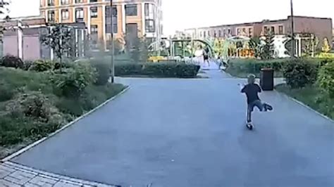 В Новосибирске хаски полицейского искусала 6 летнего ребёнка на детской площадке