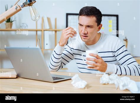 Serious Brunette Looking At Screen Of His Computer Stock Photo Alamy