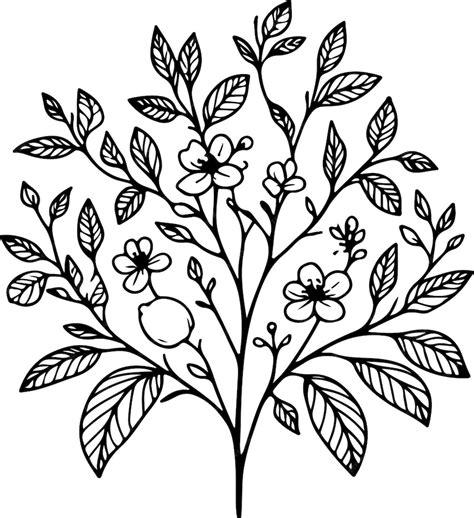 Premium Vector Cranberry Stem Black Vector Outline Illustration