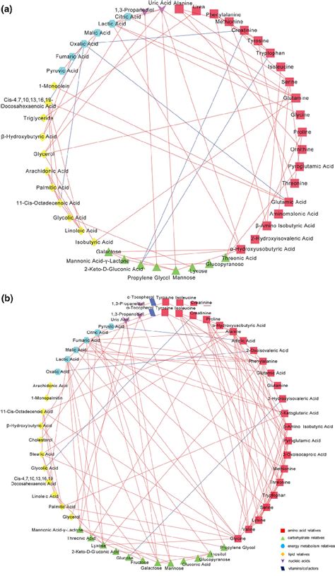 Plasma Metabolite Pair Wise Correlation Network Using Data From Mpmc