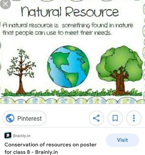 Make Poster On Conservation Of Resources Class 8