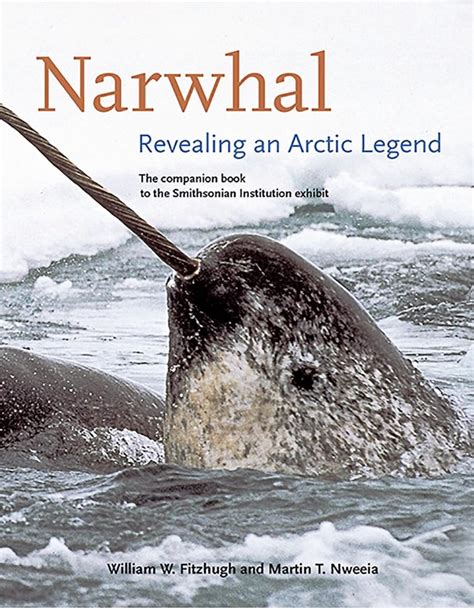 Narwhals Explained Science Behavior And Survival In The Arctic