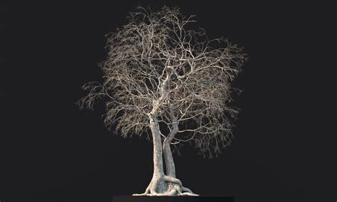 Low Poly Dead Tree Free 3d Model Obj Mtl Free3d