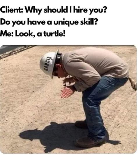 3700 Best R Turtle Images On Pholder Got Engaged Today 💚🐢