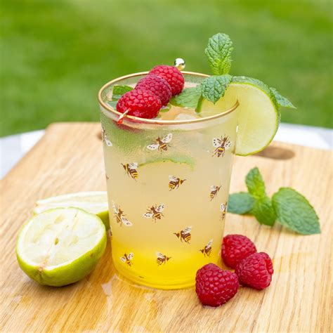 Just Bee Honey 🍹 Raspberry Chiller Mocktail 🍹 Did You Just Bee Honey 🍹 Raspberry Chiller Mocktail 🍹 Did You
