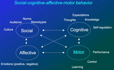 Ch 18 Social Cognitive Affective Motor Behavior Flashcards Quizlet