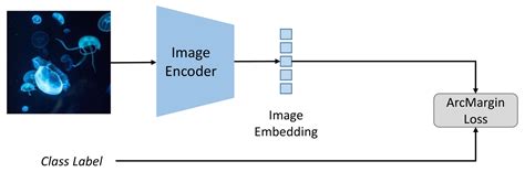 When Text And Images Dont Mix Bias Correcting Language Image Similarity Scores For Anomaly