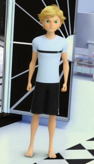 Adrian Agreste Ladybug And Cat Noir Chloe Bourgeois Fantastic Show