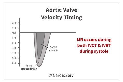 4 Errors To Avoid When Measuring Aortic Valve Velocity Cardioserv