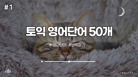 토익 영어 단어 50개ㅣ짜투리시간활용ㅣ음악대신 영어단어 반복듣기로 남는시간에 영어 단어 외우기 토익단어1 Youtube
