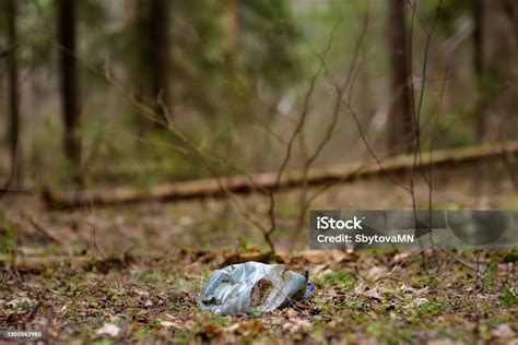 숲에 누워 오래된 플라스틱 병 삼림 지대의 쓰레기 환경 오염 쓰레기 재활용 문제 플로깅에 대한 스톡 사진 및 기타 이미지