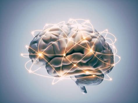 The Neuroscience Of Sex Addiction How The Brain Drives Compulsion