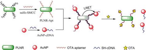 Persistent Luminescence Nanorod Based Luminescence Resonance Energy Transfer Aptasensor For