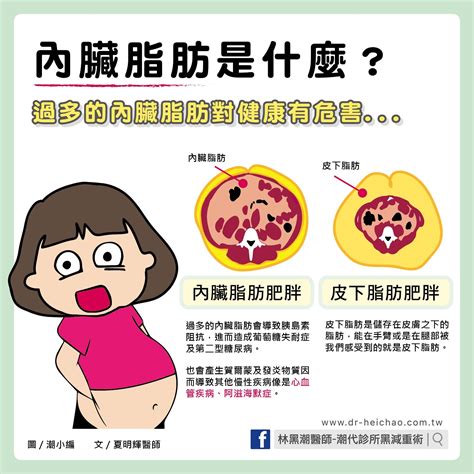 「內臟脂肪」是什麼？過高要注意！／文：夏明輝醫師 潮代診所 林黑潮 減肥 減重 瘦身 門診 健康減重