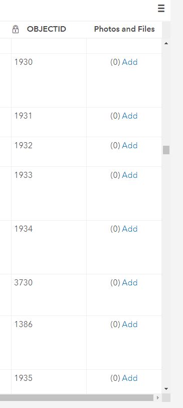Duplicate Objectidsfeatures In View Layer Esri Community