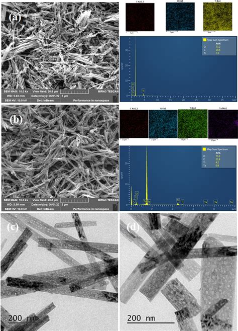 Sem Along With Eds And Elemental Mapping Of A Tio2 Nrs And B 5ta Tio2