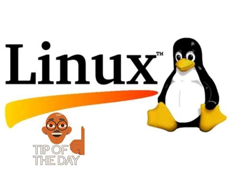 Mohammedbrhan Abdelkadr On Linkedin Part1 Learning Linux Terminal