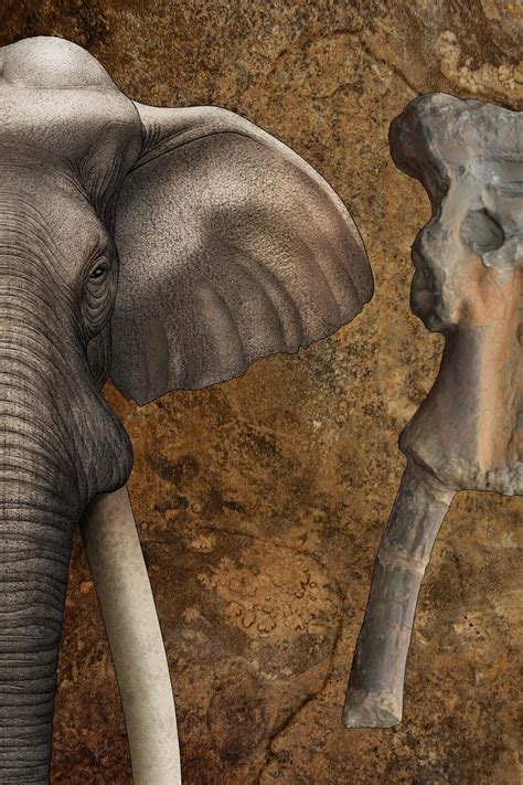 Ancient Fossil Discovery Reveals That Early Humans Ate Elephants