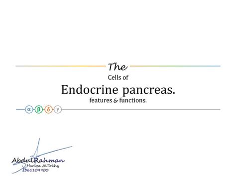 Endocrine Pancreas Pdf Endocrine And Metabolic Diseases Diseases And Conditions