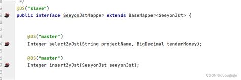 【mybatis Plus多数据源使用】mybatisplus 多数据源使用 Csdn博客