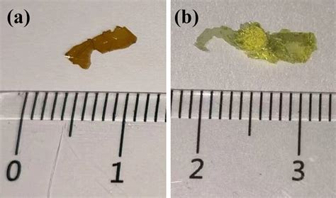 Two Crystals Obtained By Chemical Vapor Transport Method A Sns2