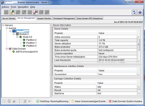 Avamar Understanding The Data Protected Value In Avamar Administrator Dell Us