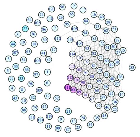 The Polar Vector Field Mapping Metric Tensor Network Shown In This Download Scientific Diagram