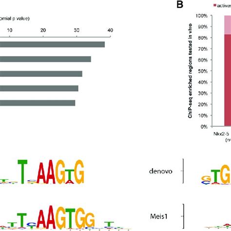 Chip Seq Dataset Analysis Download Scientific Diagram