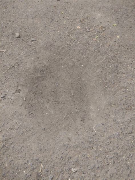 Crater Detection Object Detection Dataset By Project