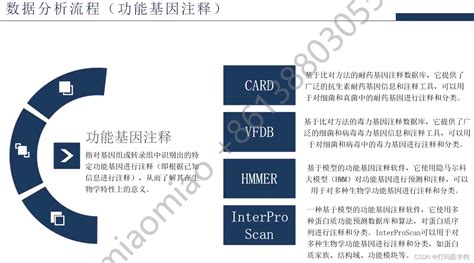 全基因组分析流程 Csdn博客