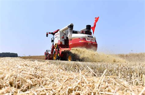 非凡十年·乡村振兴 丨 粮食产量连续7年保持在13万亿斤以上、现行标准下9899万农村贫困人口全部脱贫我国农产品供给