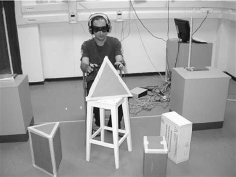 The 3d Shape Recognition Task The Two Poles Used In The Radial Download Scientific Diagram