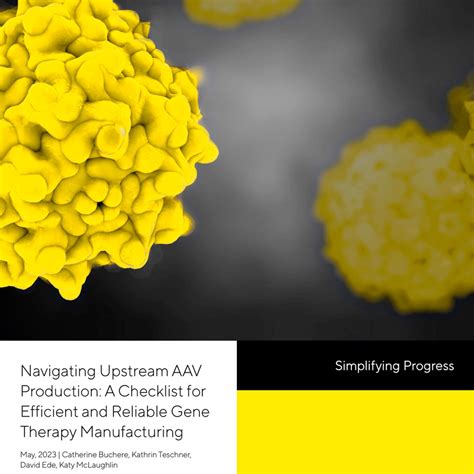 Navigating Upstream Aav Production For Gene Therapy Manufacturing