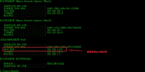 VSCode部署和使用 灰信网软件开发博客聚合