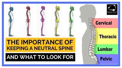 The Importance Of A Neutral Spine And What To Look For As A Pt