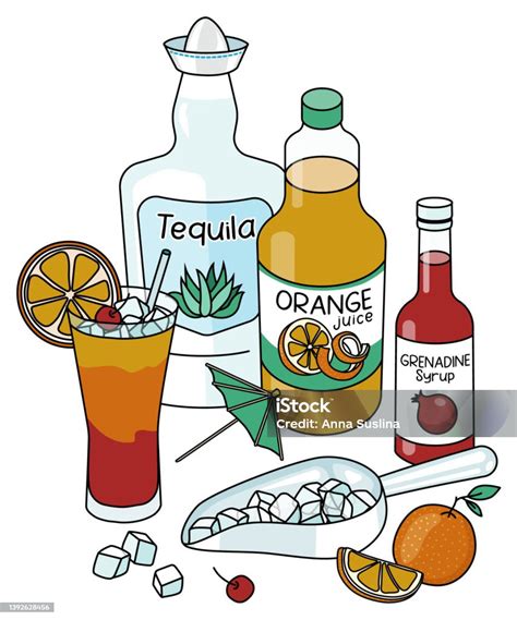 낙서 만화 테킬라 선라이즈 칵테일과 재료 구성 실버 데킬라와 오렌지 주스 그레나딘 시럽 오렌지 과일 및 얼음 스쿱 병 메뉴 또는