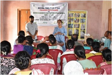 Farmers Trained On Oyster Mushroom Cultivation Highland Post